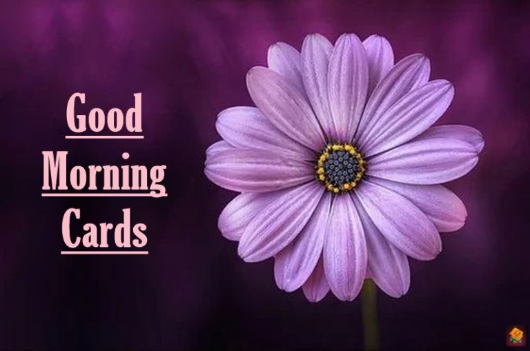 38 Good Morning Cards to Boost your Morning - BoomSumo