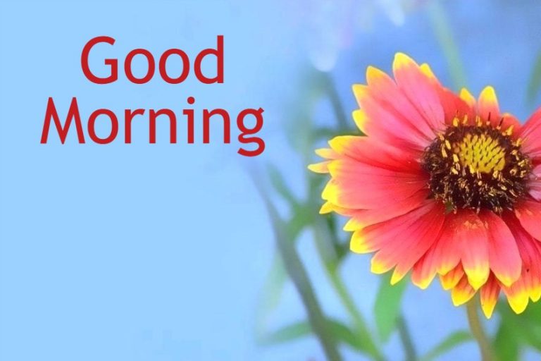 28 Amazing Good Morning Images Wishes With Pictures And Beautiful ...
