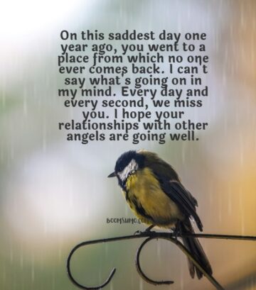 150 Heartfelt 1 Year Death Anniversary Quotes & Messages - BoomSumo