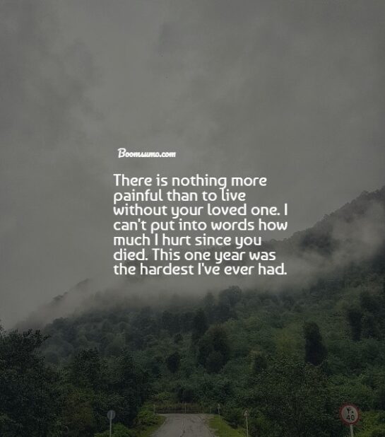 150 Heartfelt 1 Year Death Anniversary Quotes & Messages - BoomSumo