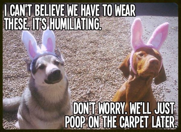 70 Funny Happy Easter Memes & Religious Funny Memes - BoomSumo