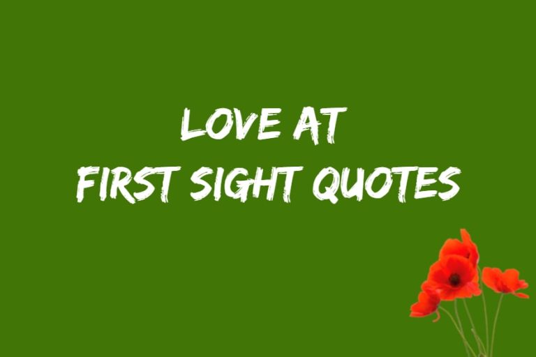 45 Romantic Love at First Sight Quotes - BoomSumo