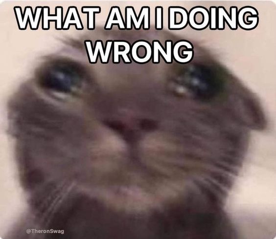 145 Funny Cat Memes Your Daily Dose Of Kitty - BoomSumo