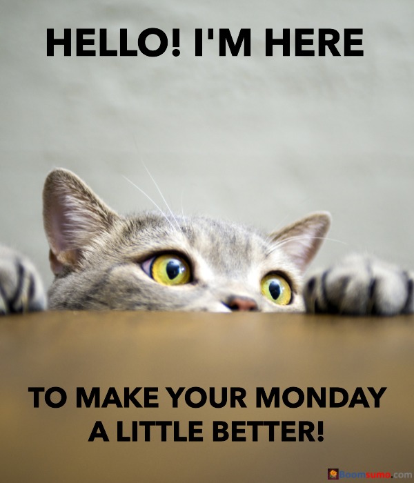 100+ Happy Monday GIFs & Images: Animated Wishes - BoomSumo