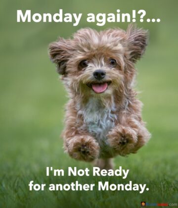 100+ Happy Monday GIFs & Images: Animated Wishes - BoomSumo