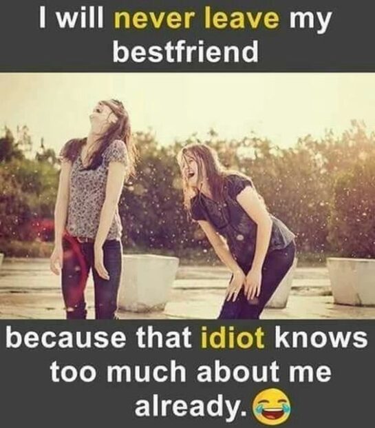 100+ Friendship Memes Funny Best Friends Bff - BoomSumo