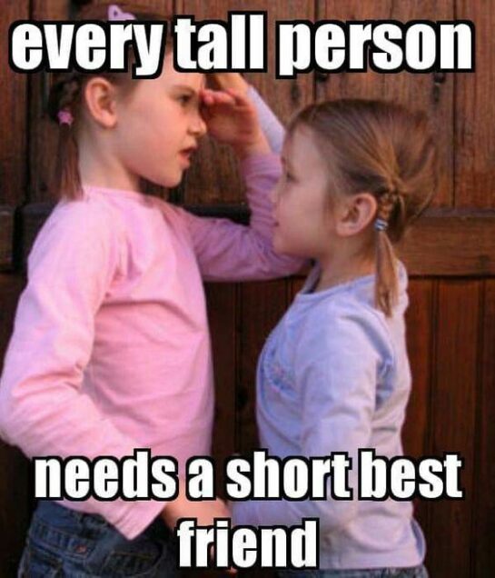 100+ Friendship Memes Funny Best Friends Bff - BoomSumo