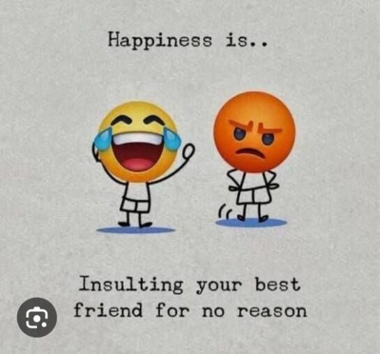 100+ Friendship Memes Funny Best Friends Bff - BoomSumo